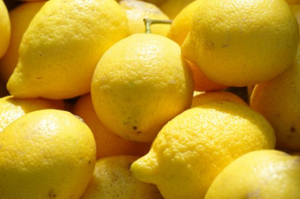 Lemons – Udderly Delicious